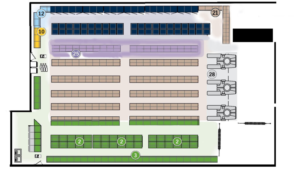 Albert Heijn vs Lidl – Marketingpaper